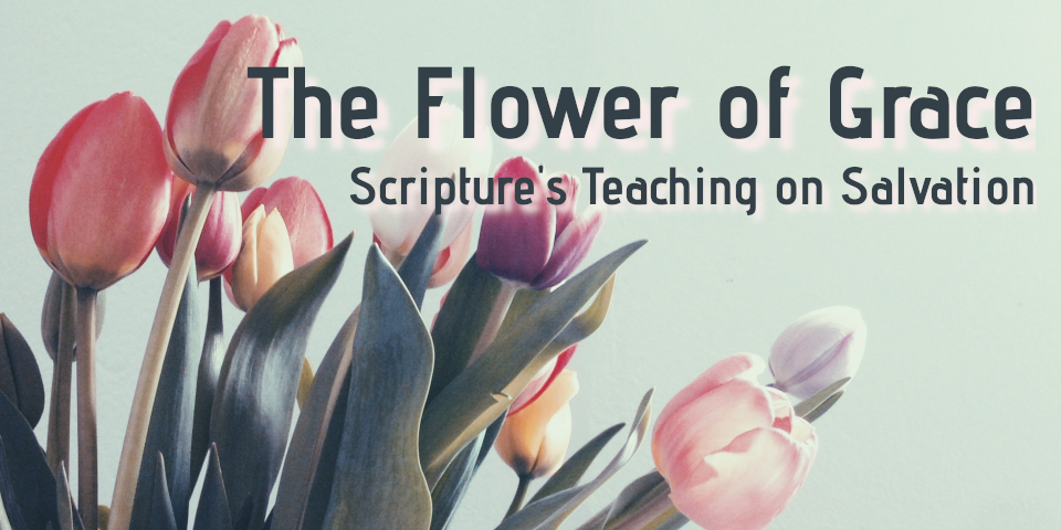 The Flower of Grace Archives - Providence Presbyterian Church