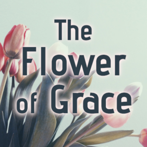The Flower of Grace Archives - Providence Presbyterian Church